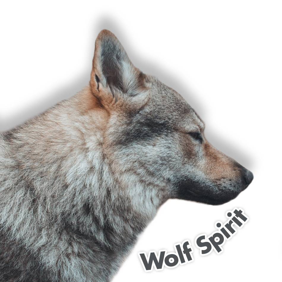 Иконка канала Wolf Spirit