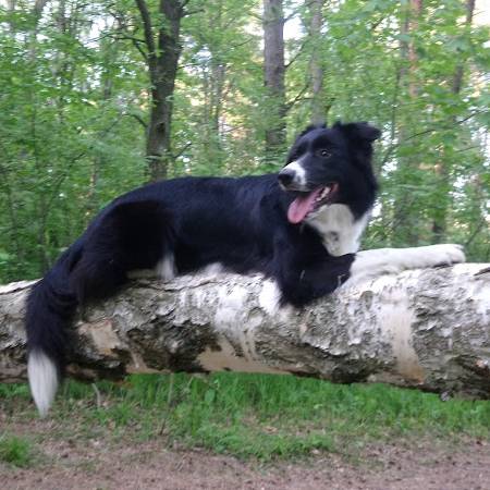 Иконка канала Val Mira