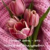 Иконка канала channel25542570