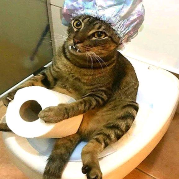 Иконка канала Петы и мемы