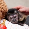 Иконка канала Экзотические животные