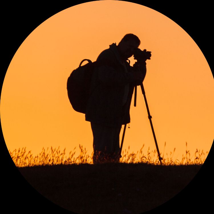 Иконка канала Путешествия по Кавказу