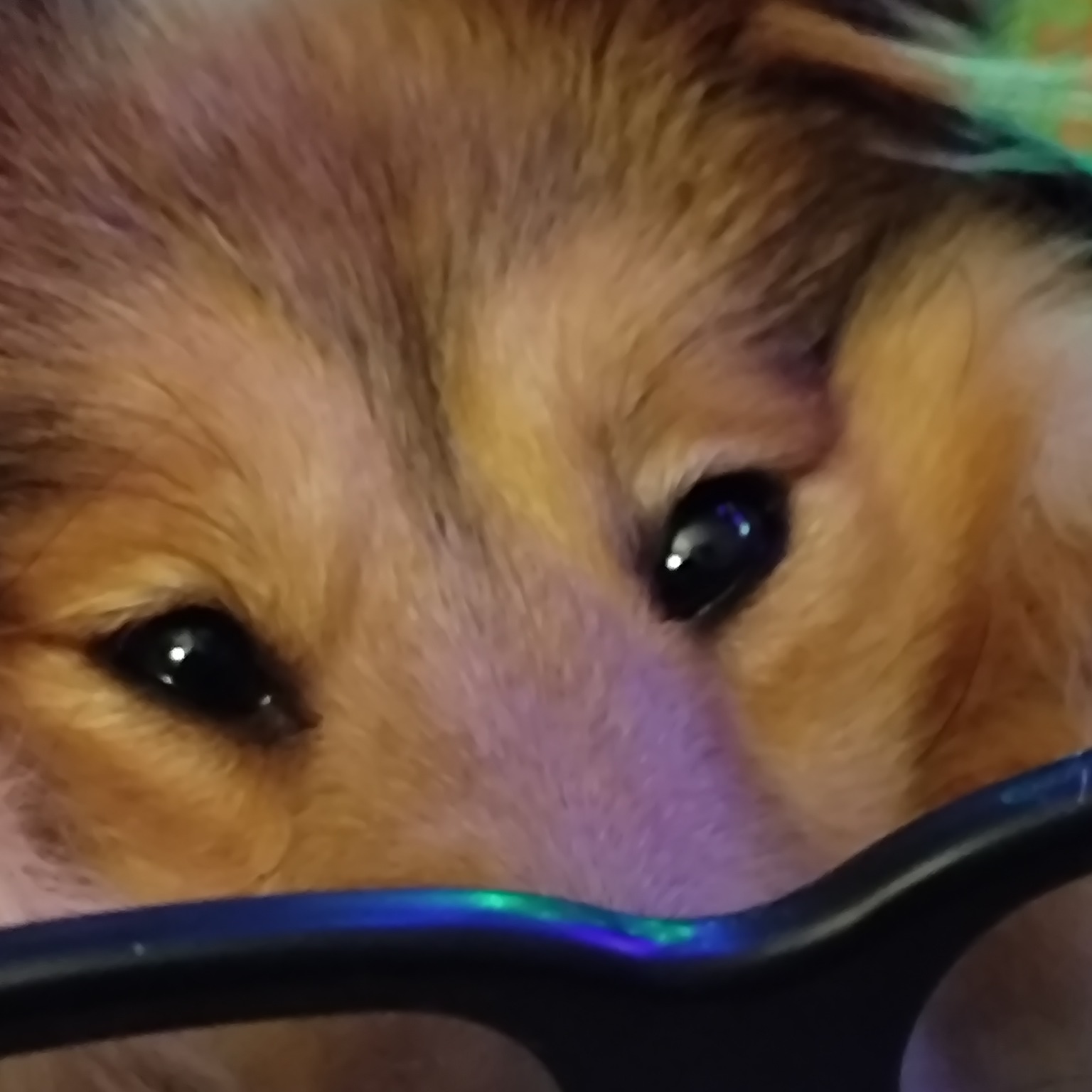 Иконка канала Tassico