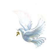 Иконка канала ЦЕРКОВЬ ЖИВОЙ РОДНИК Г. МОСКВА