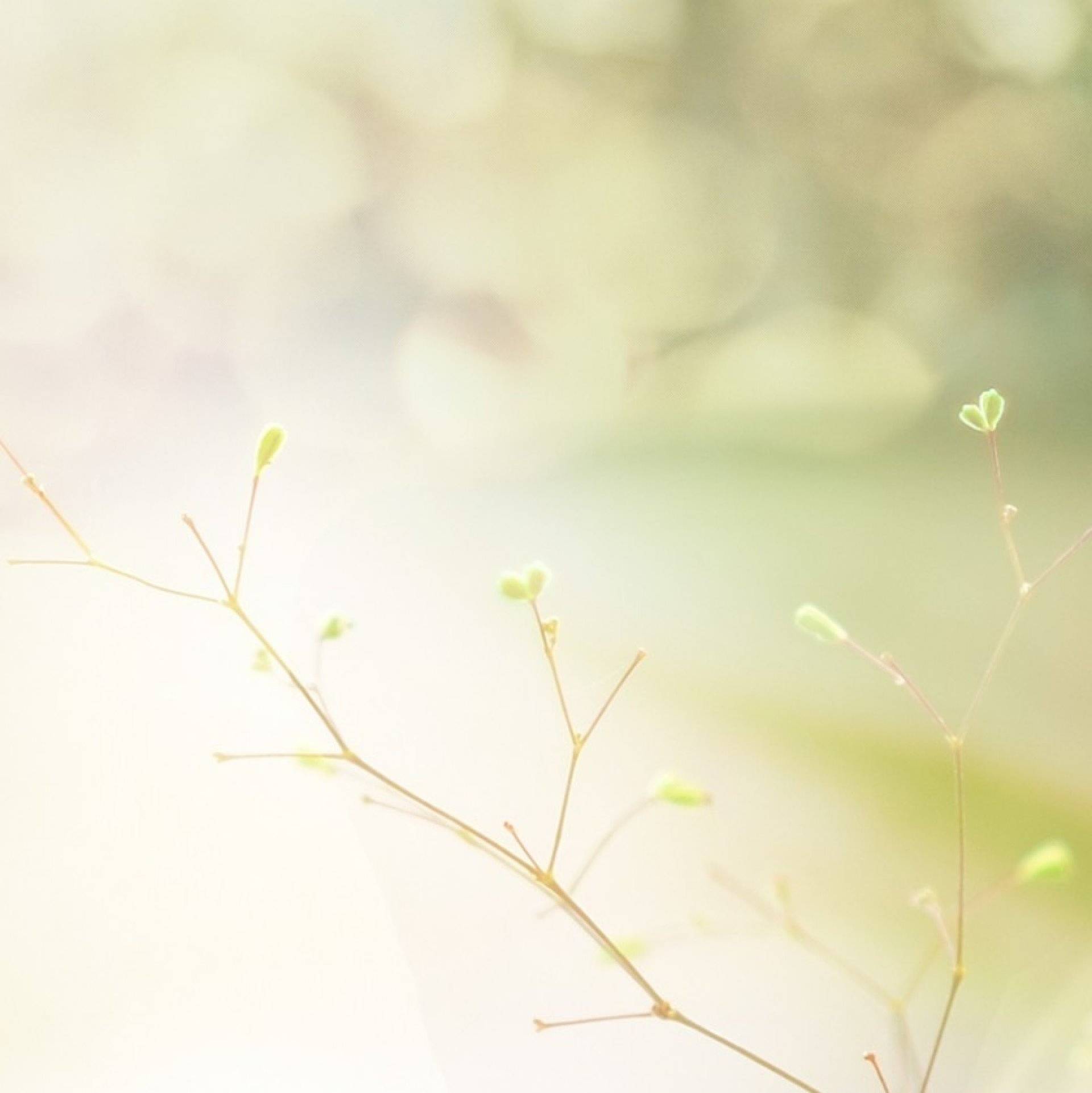 Иконка канала CristalEllie