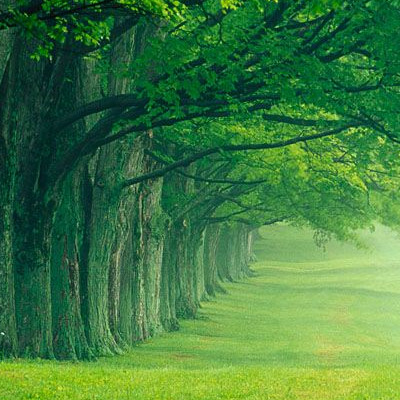 Иконка канала Милиза Студия