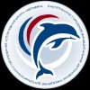 Иконка канала ЛГ МАУ ДО «Спортивная школа Дельфин»