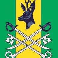 Иконка канала ДЕТСКАЯ ШКОЛА ИСКУССТВ Г.ШИЛКА