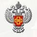 Иконка канала ТО Росздравнадзора по Новгородской области