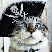 Иконка канала Портфолио видеографа Юрия Лопатина