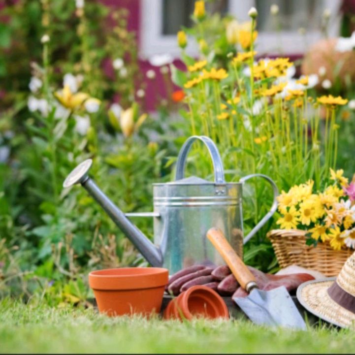 Иконка канала СадОгород