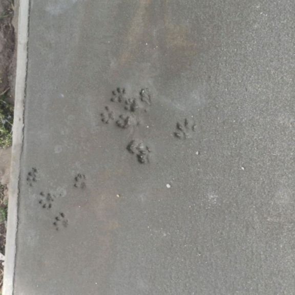 Иконка канала Alex228