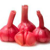 Иконка канала ЧесТнок Тв