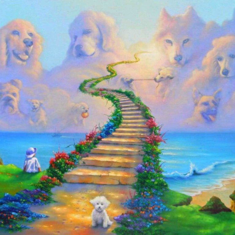 Иконка канала Амид Вожич