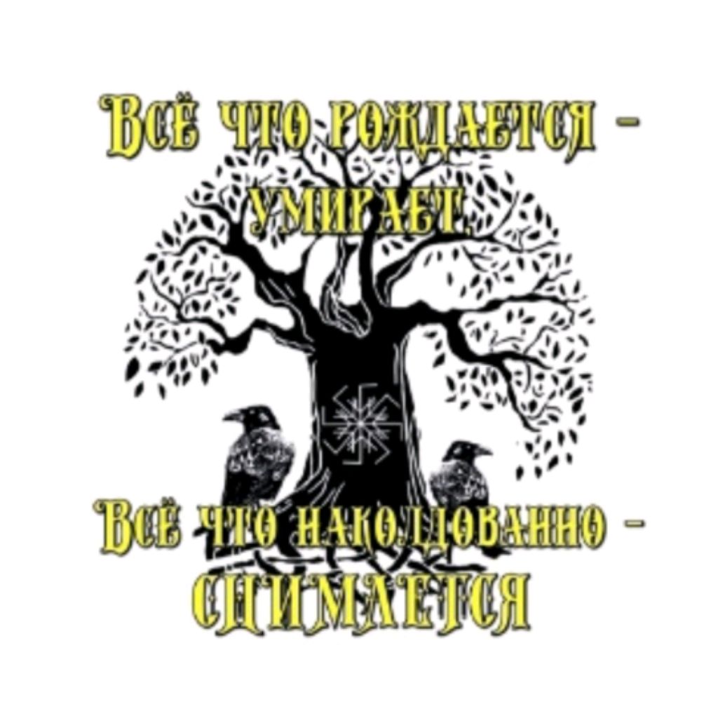 Иконка канала Всеволод ДААТ