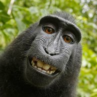 Иконка канала Время Смеха