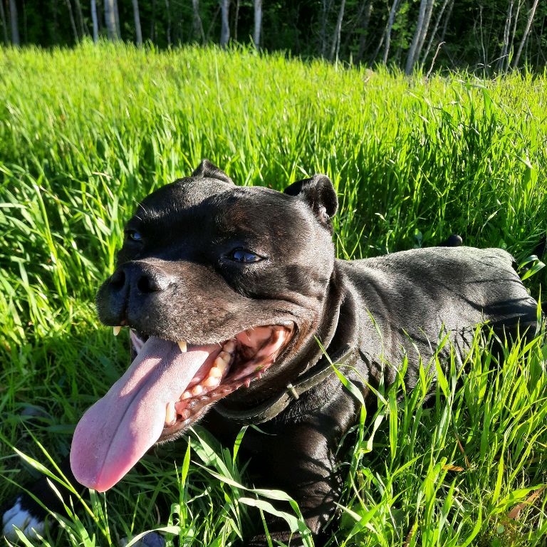 Иконка канала Alekc53kuzya