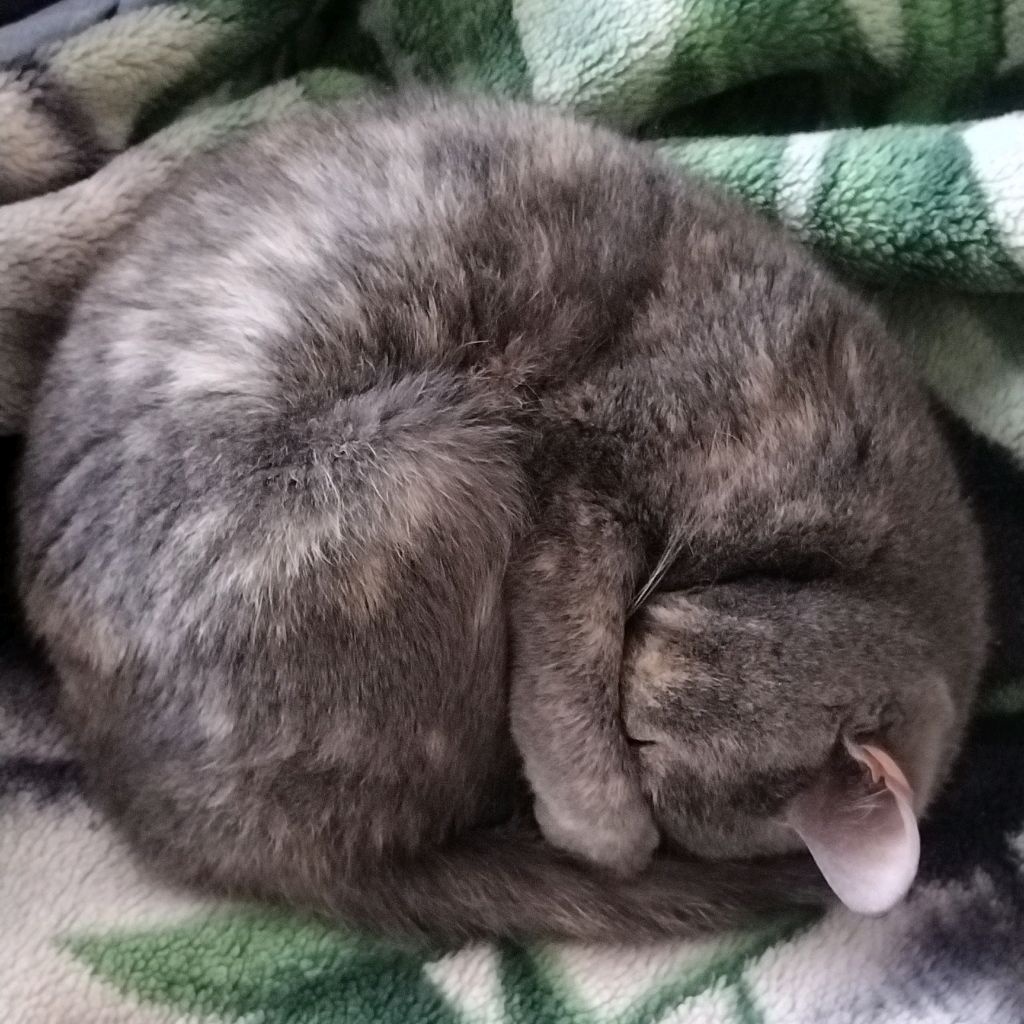 Иконка канала channel31883515