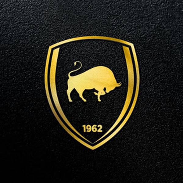 Иконка канала Celikel Russia