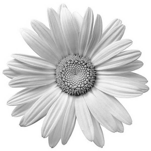 Иконка канала YUMSTUDIO