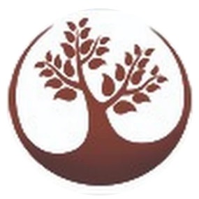 Иконка канала Династия