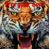 Иконка канала Free your Soul