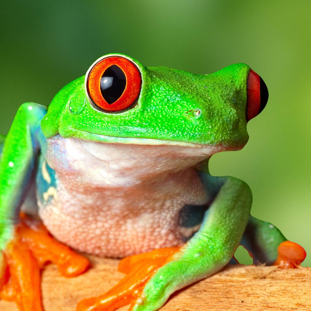 Иконка канала MAX TOUR