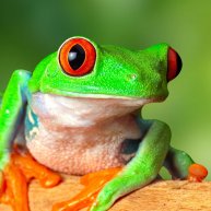 Иконка канала MAX TOUR