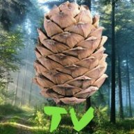 Иконка канала Шишка ТВ Live