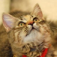 Иконка канала 845464