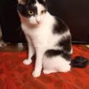 Иконка канала Ольга Бусыгина