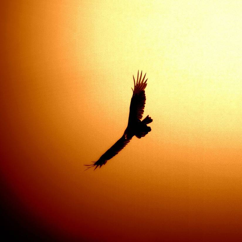 Иконка канала Vales