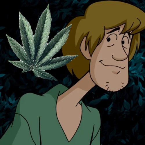 Иконка канала Шегги