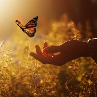 Иконка канала Надежда Лоскутова BFMrelax