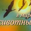 Иконка канала В Мире Животных