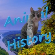 Иконка канала Animal History