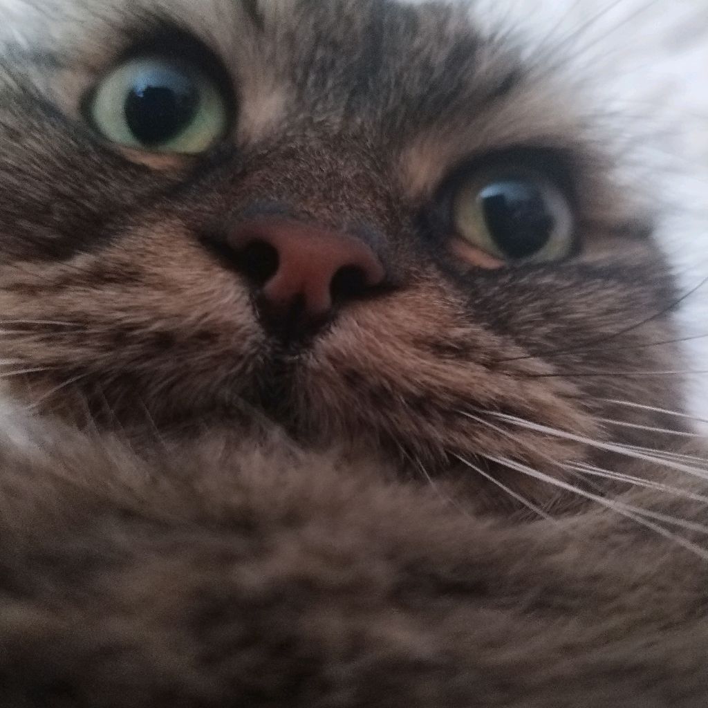 Иконка канала ХуАнАнА??