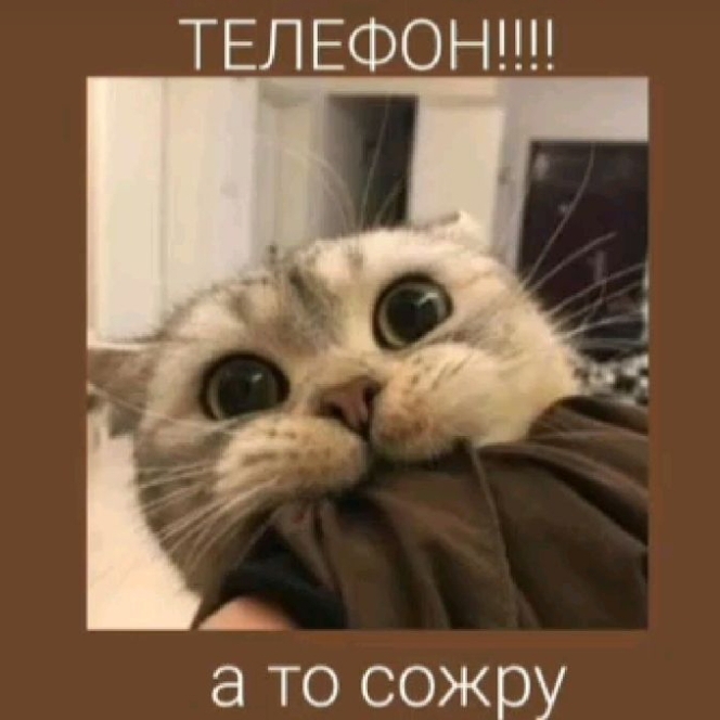 Иконка канала channel42222994