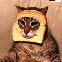 Иконка канала twelwe