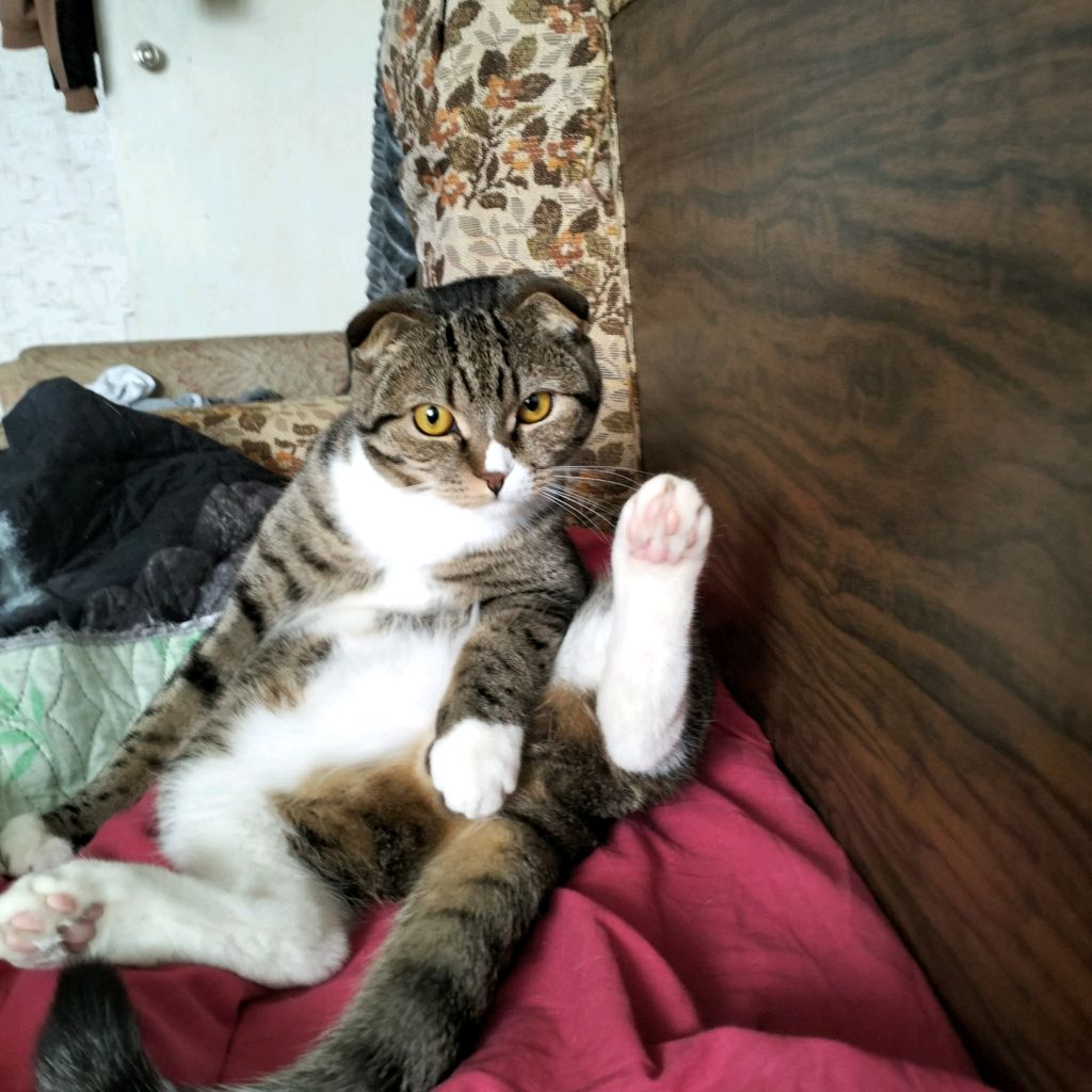 Иконка канала Семён Семёныч