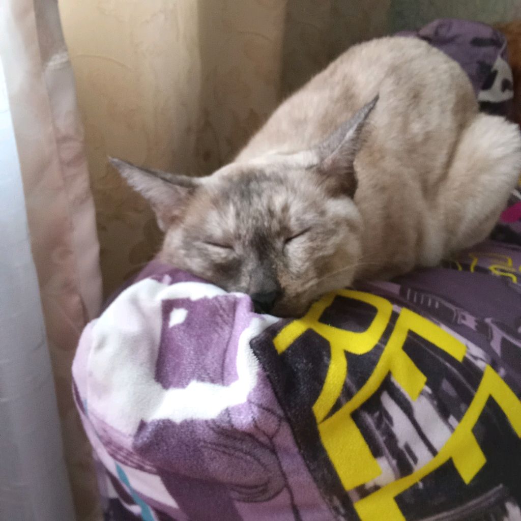 Иконка канала Marta and Liza