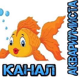 Иконка канала Владимир Аквариумистика Разводня аквариумных рыбок