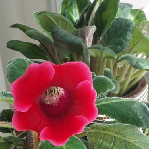 Иконка канала Вязание и Хобби