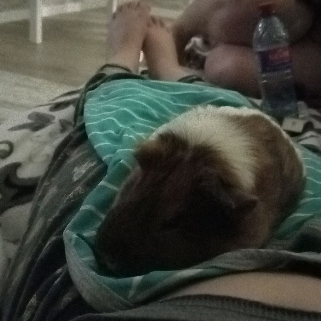 Иконка канала МИША ШОУ