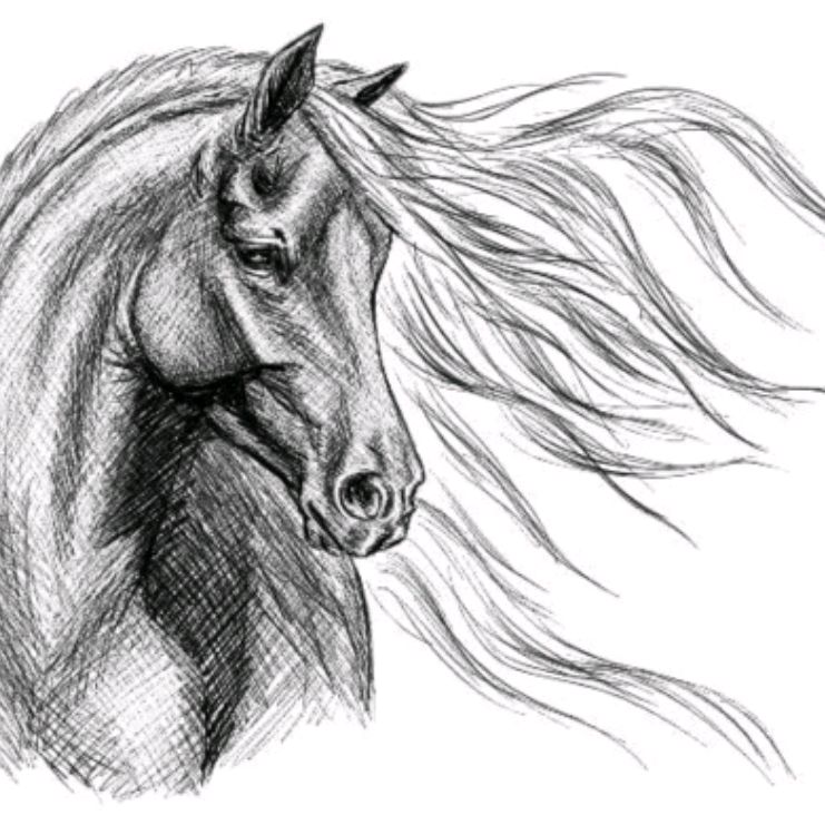 Иконка канала wildhors