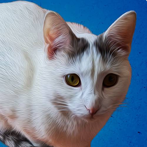 Иконка канала White Cat Academy