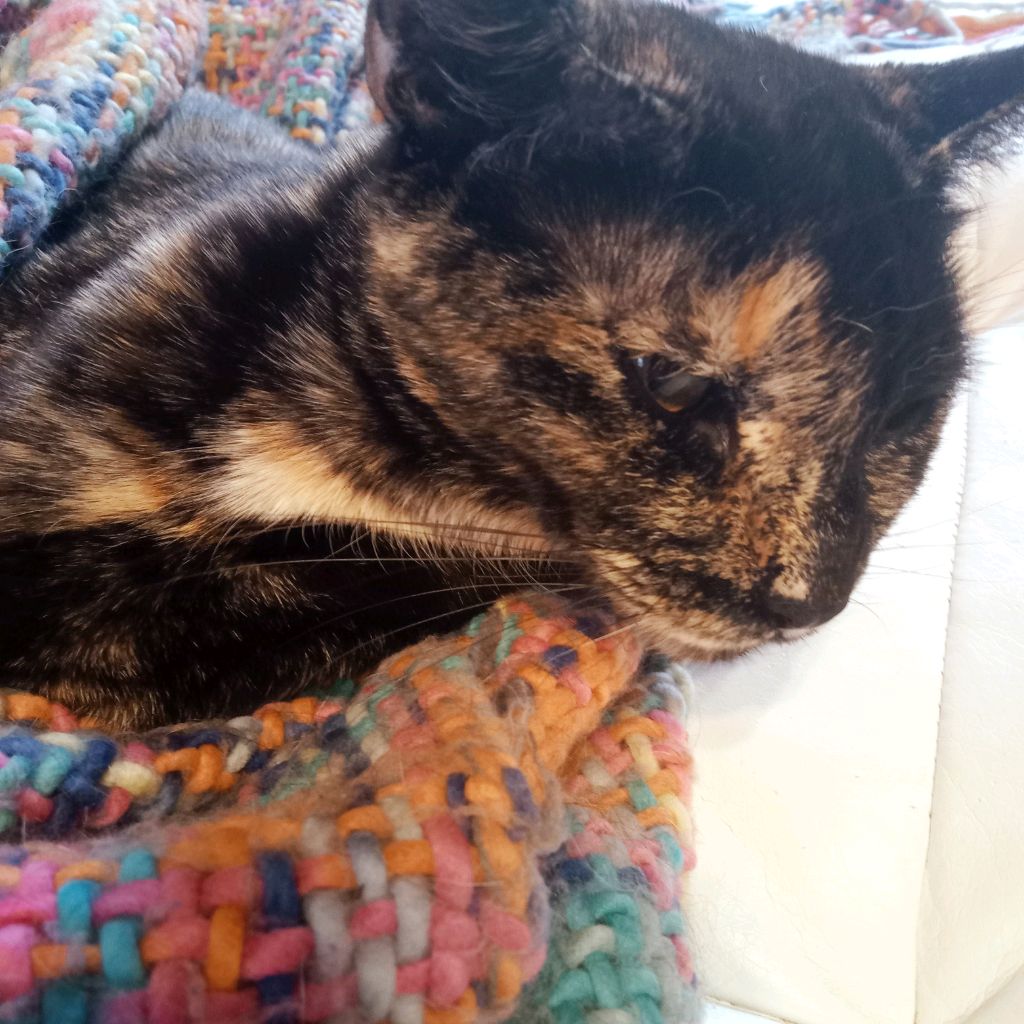 Иконка канала Мужская кухня Дмитрий Тверь