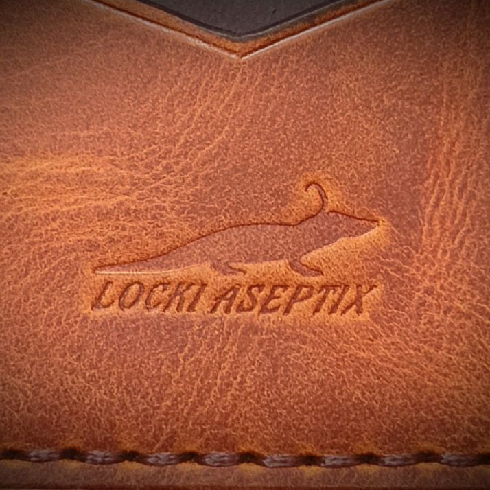 Иконка канала LockiAseptix