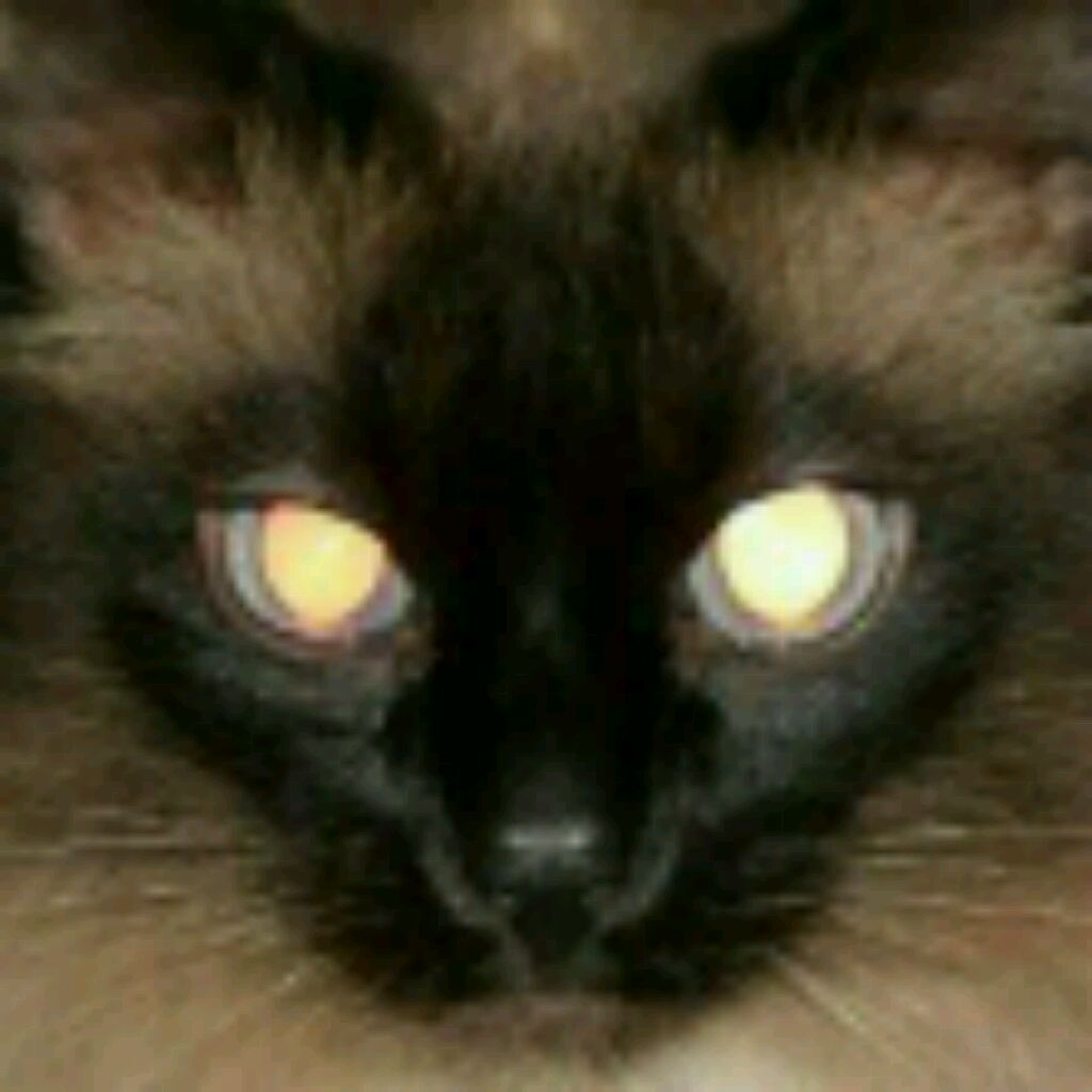 Иконка канала Dmitlas