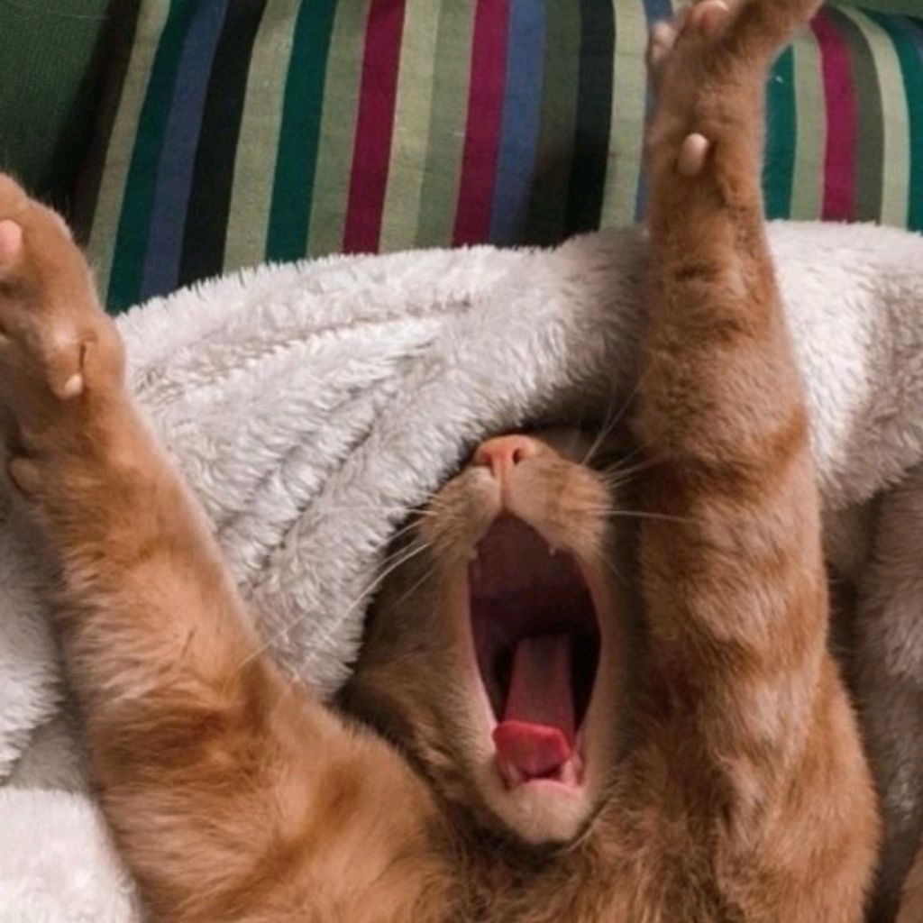 Иконка канала Все Есть Новости